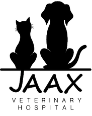 Upper Respiratory Disease in Cats: When should you worry?