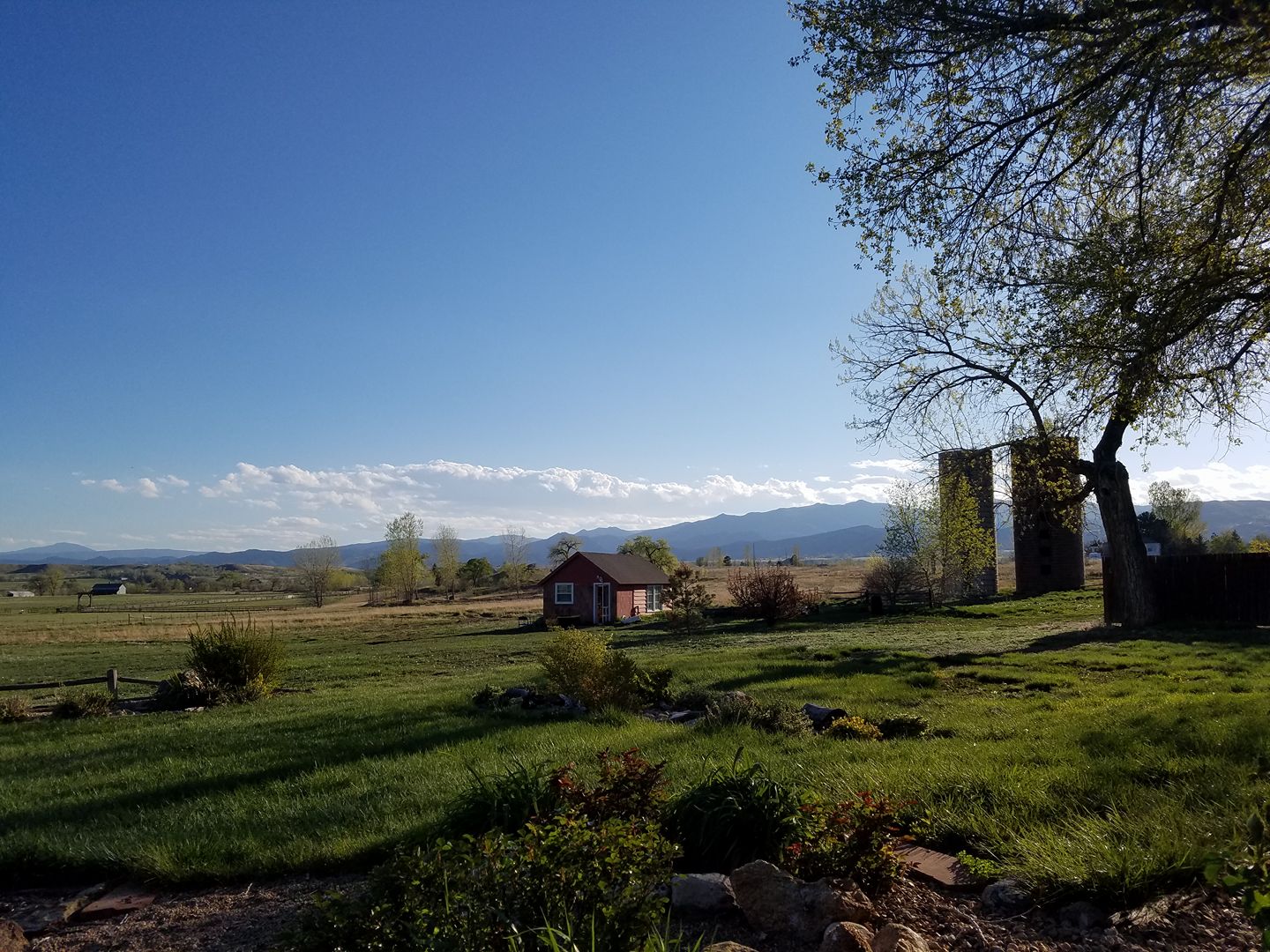 Hemp Supplements for Dogs | Denver | Earth Buddy Pet