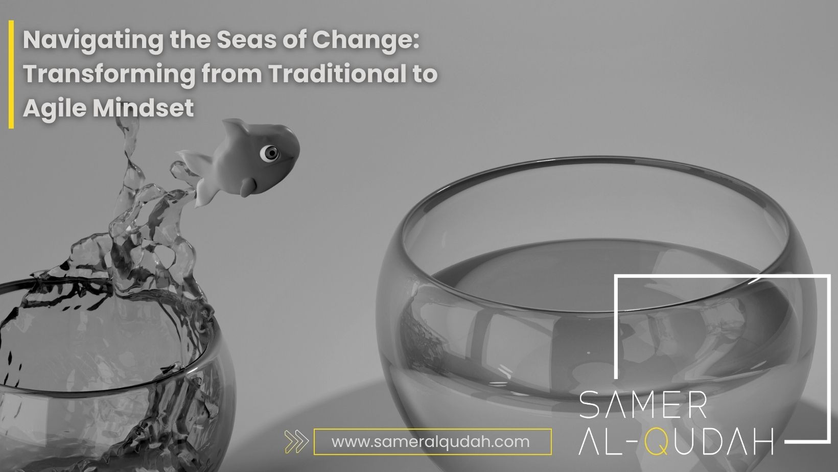 Transforming From Tradition to Agility: Navigating Workplace Change