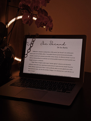 Joc Secund de Ion Barbu | Xlariu's Spot