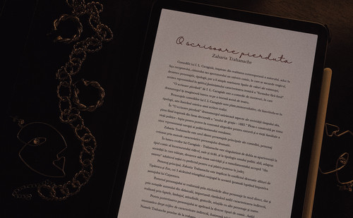 Caracterizarea lui Zaharia Trahanache | Xlariu's Spot