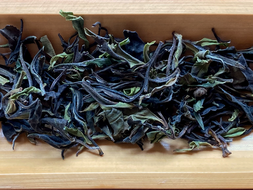 Pu Ta Leng Deep Forest White 2023 | Viet Sun Tea