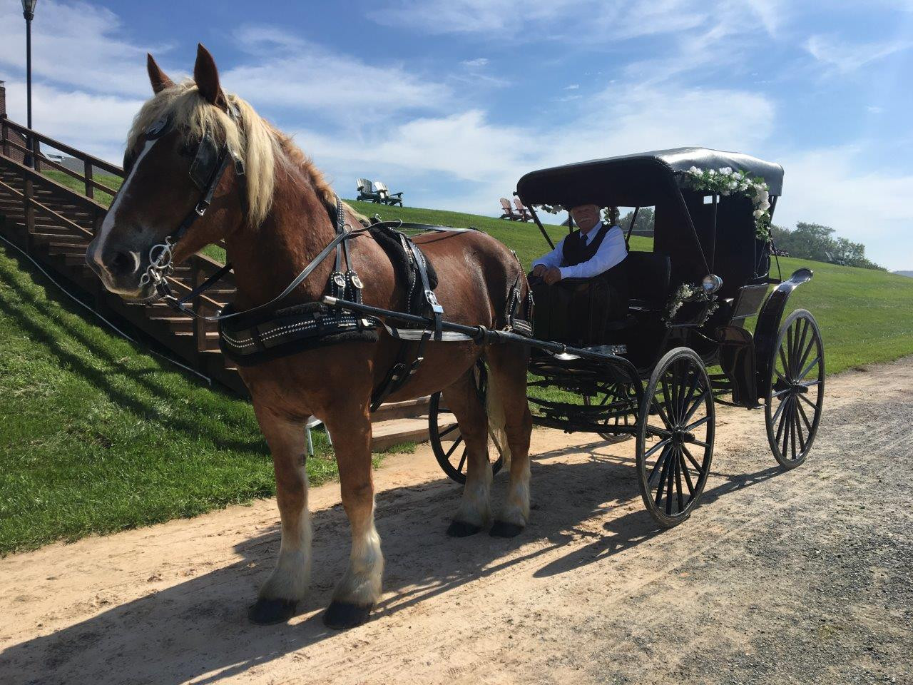 Horse & Carriage | Fairwinds Farm & Stables | Maryland