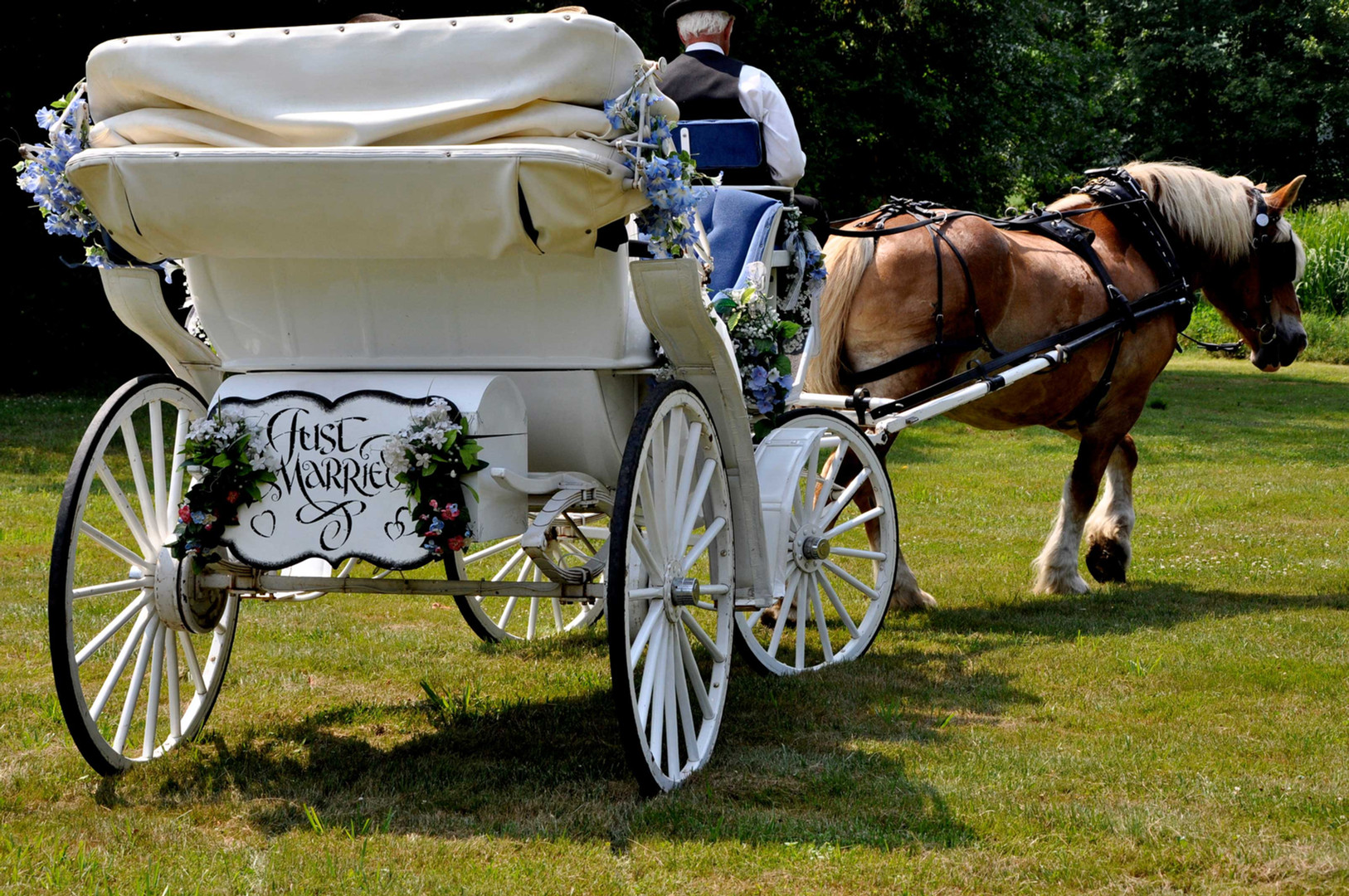 Horse & Carriage | Fairwinds Farm & Stables | Maryland