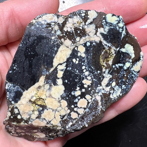 Poseidon Spiderweb Variscite Rough | Esmeralda Turquoise