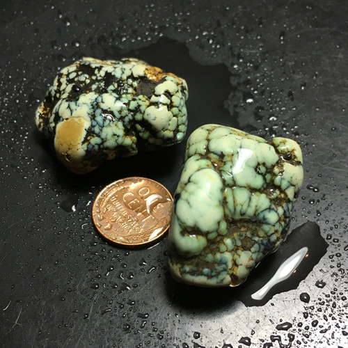 Morning Glory Spiderweb Variscite Rough | Esmeralda Turquoise
