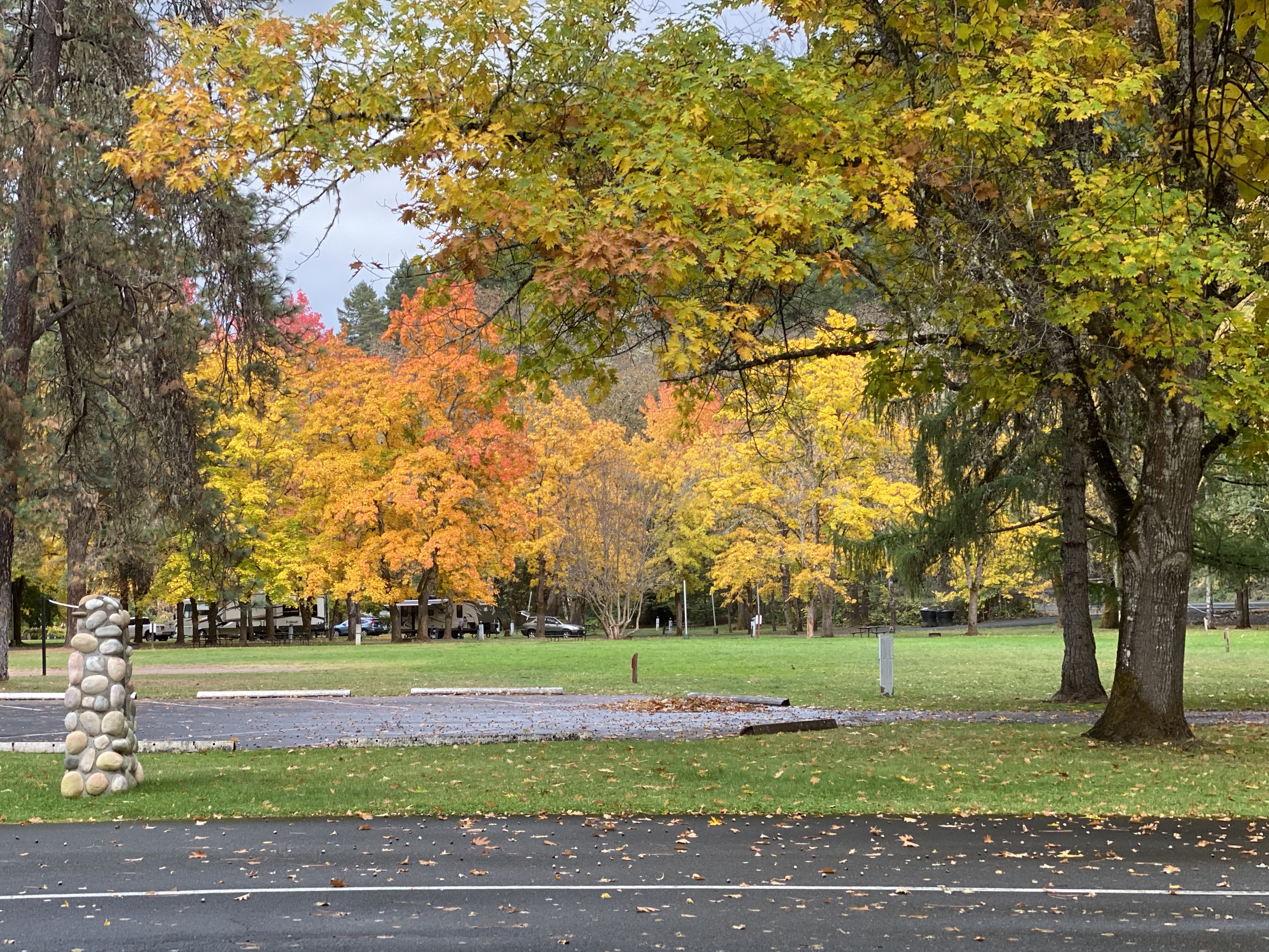 Where to Go What to Do in So Oregon | OR | Sweet Dreams RV Rentals