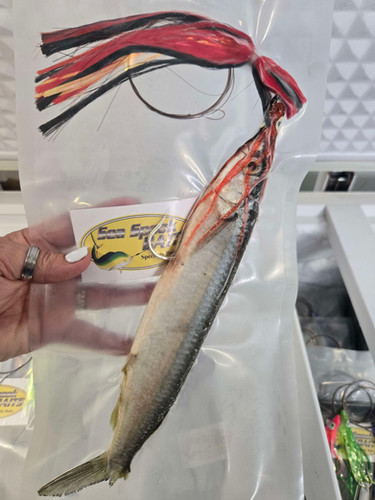 Rigged Horse Ballyhoo | Wire | Custom sea witch | Sea Spook Baits