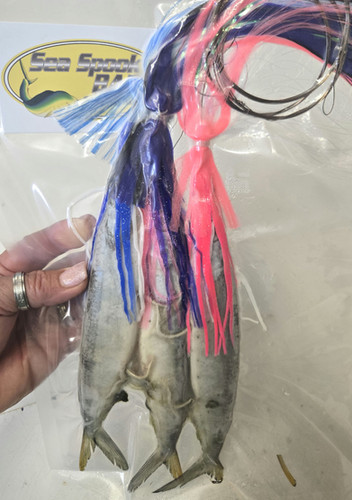 Rigged Ballyhoo | Wire| Custom Sea witch | 3 pack | Sea Spook Baits