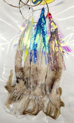 3pk Wire Rigged Squid with custom SR 1/4oz flash | Sea Spook Baits