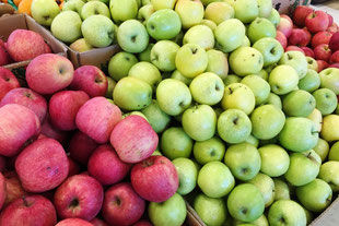 About | 唐牛苹果園