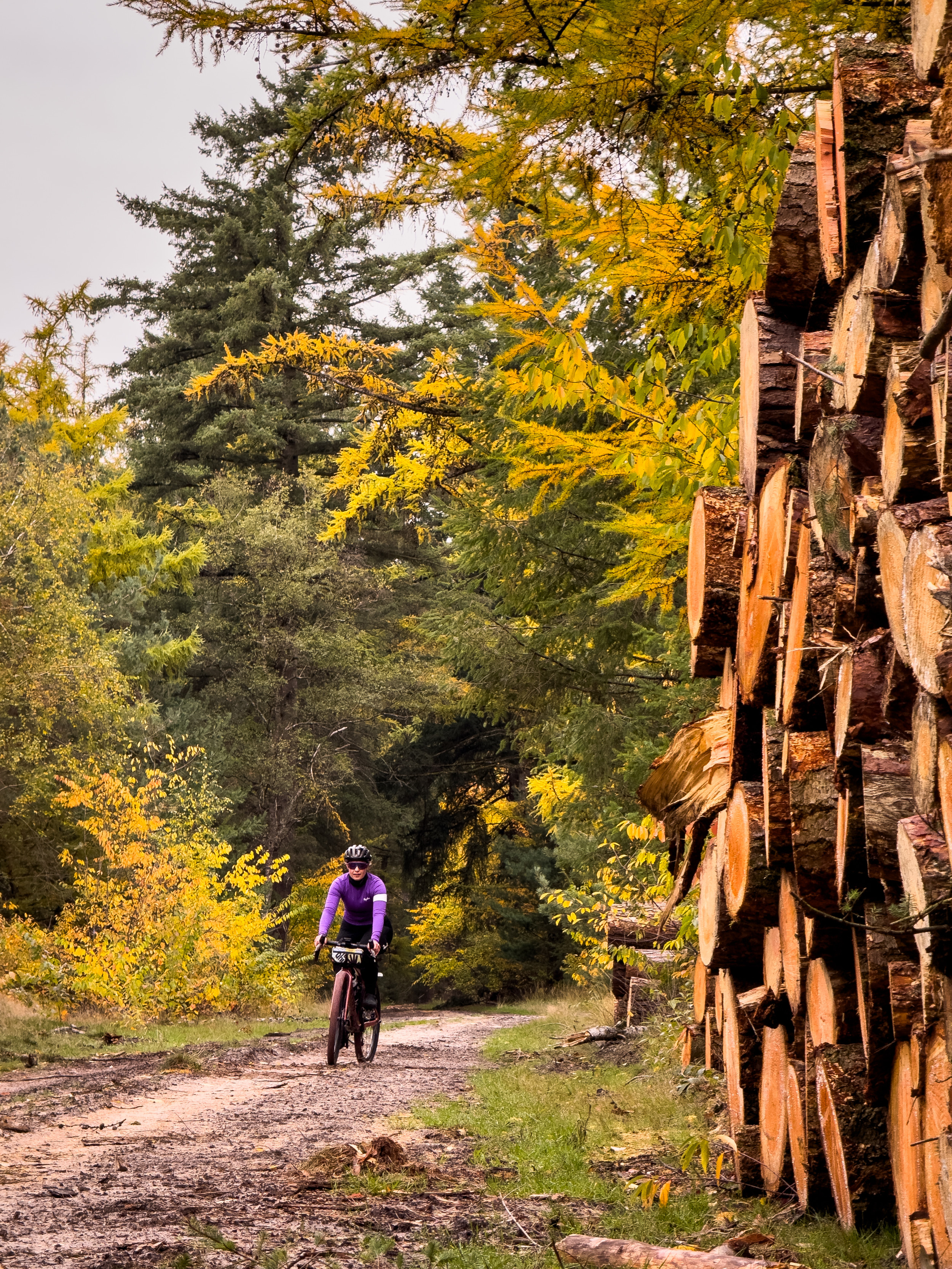 De mooiste op de gravelkalender? Geniet van deze herfstige gravelrit in ...