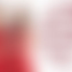 Gracie & Lacy and South of Broad Band | Charleston, SC