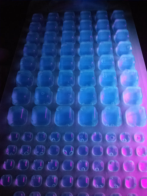 Agricultural water MPN Coliform & E. Coli via Colilert-18 with Quanti ...