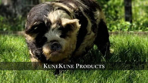 KuneKune Products | Tribble Hill Farm