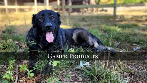 Gampr Products | Tribble Hill Farm