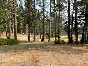 Home | Bucks Lake Camp & RV