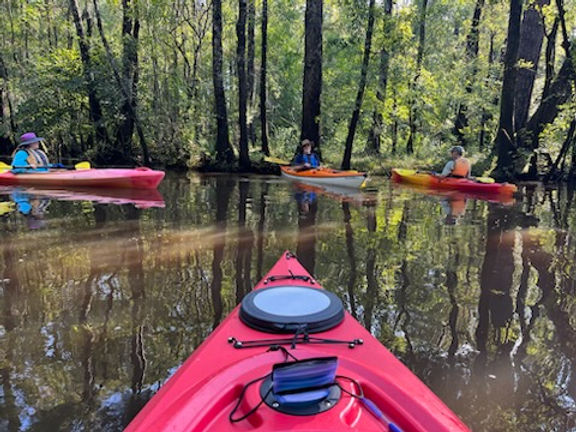 Paddling Through History