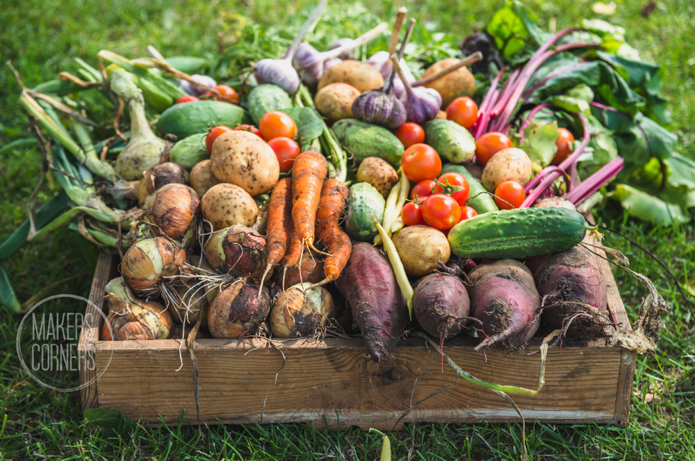What to Plant in a Fall Vegetable Garden