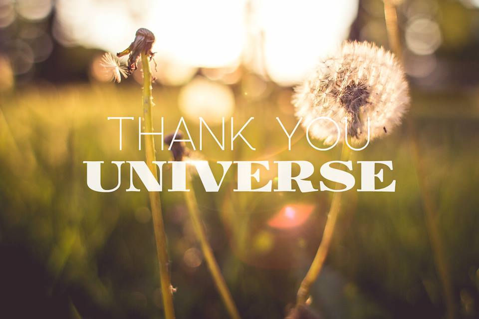 THANK YOU UNIVERSE