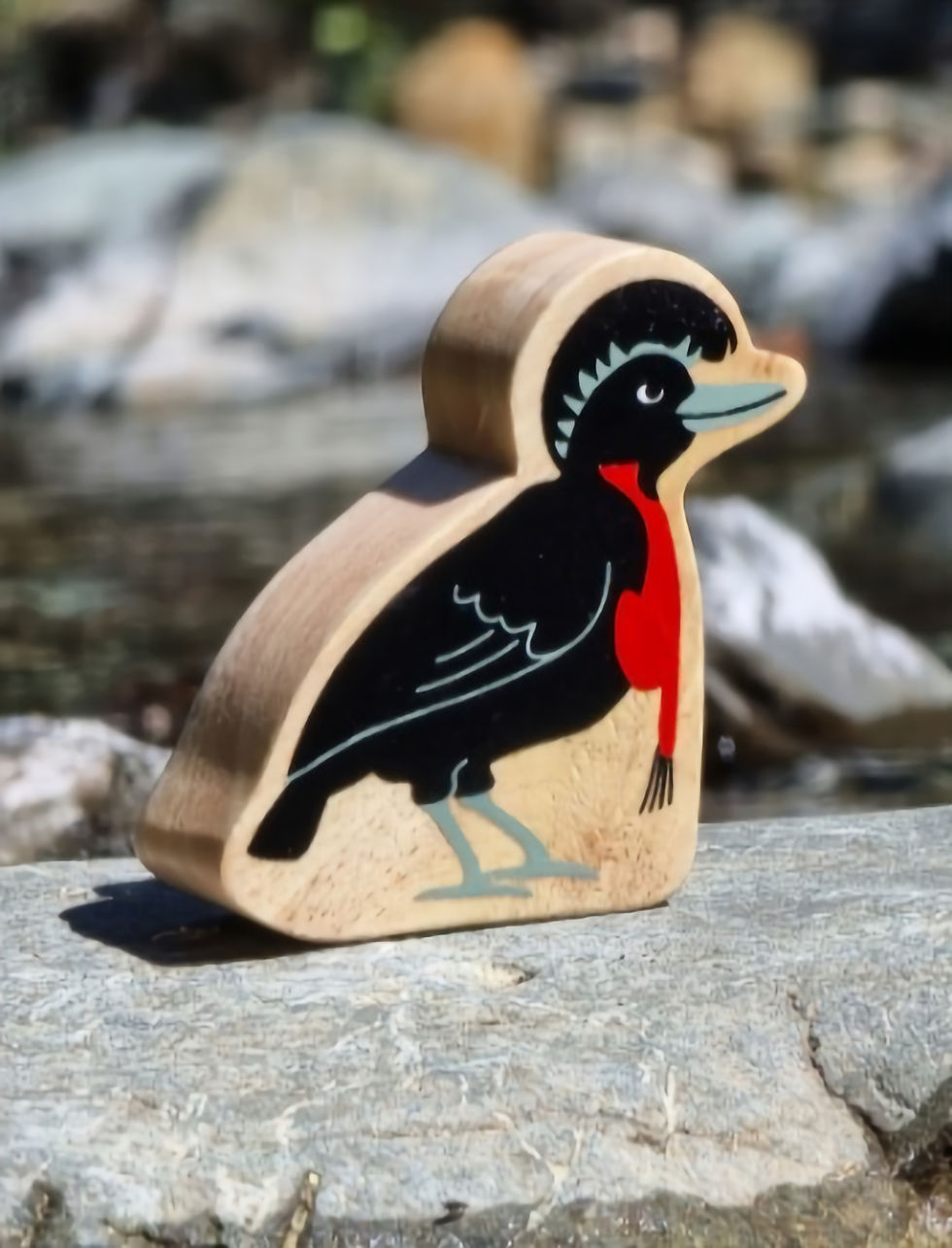 New Arrivals | Curious Littles Play