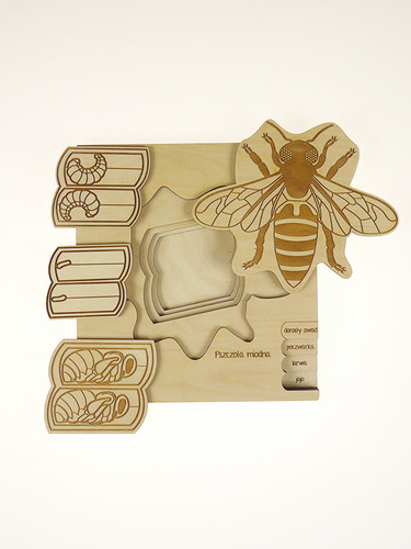 Stuka Puka Handcrafted Honey Bee Life Cycle Puzzle | Curious Littles Play