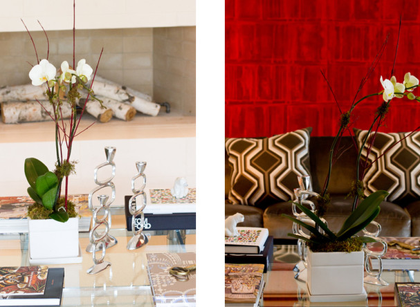 HOME | MAAS Modern Design