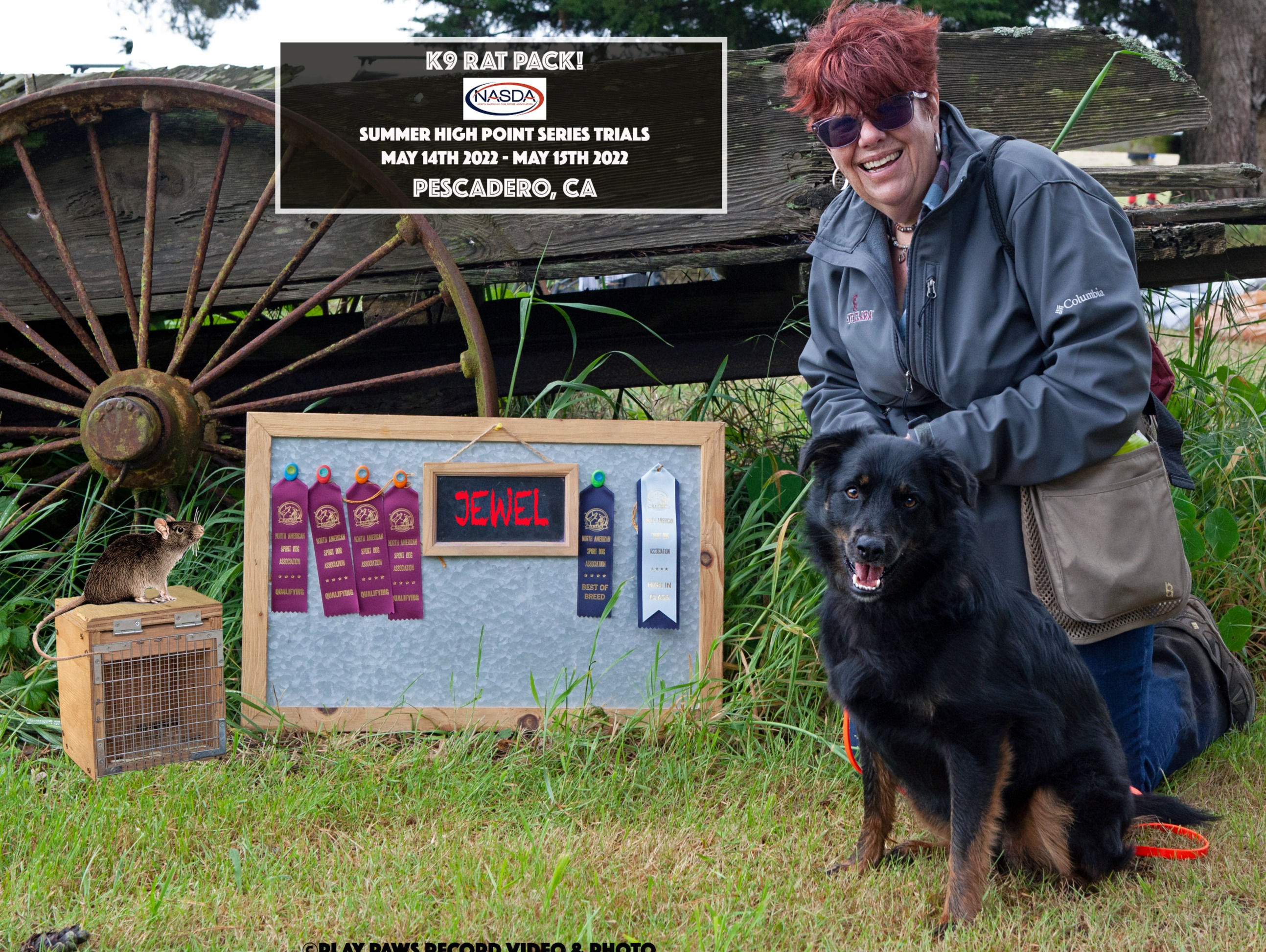 SAN JOSE CLASSES | Orion Dog Training