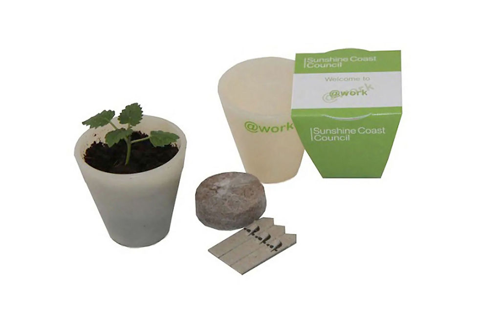Promotional Plantable Seed Items - Herbs, Flowers, Vegetables, Natives ...