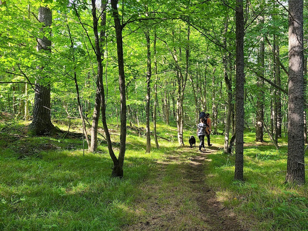 Recreational Trails | Waterfront Living