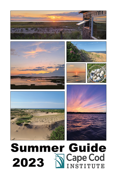 Summer Guide | Cape Cod Institute