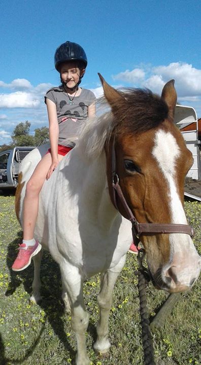 HOME | equinekinship