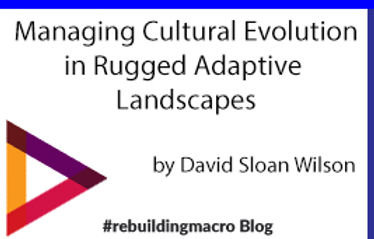 Managing Cultural Evolution in Rugged Adaptive Landscapes