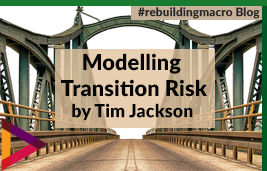 Modelling Transition Risk