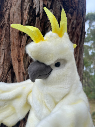 Cockatoo Puppet | Puppets for Learning