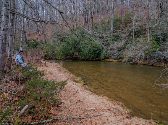 East Fork French Broad | WNCFlyFishing