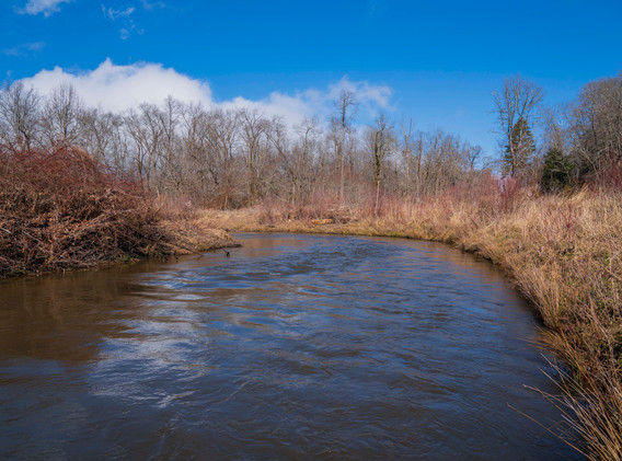 East Fork French Broad | WNCFlyFishing
