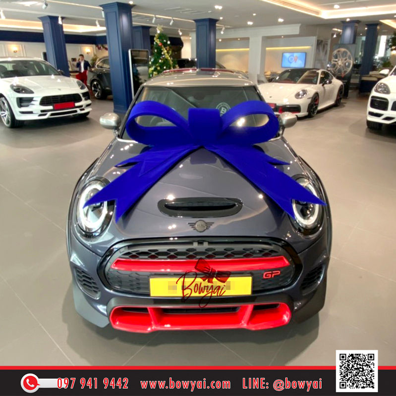 โบว์ใหญ่ bowyai โบว์วางหน้ารถ | bowyai.com