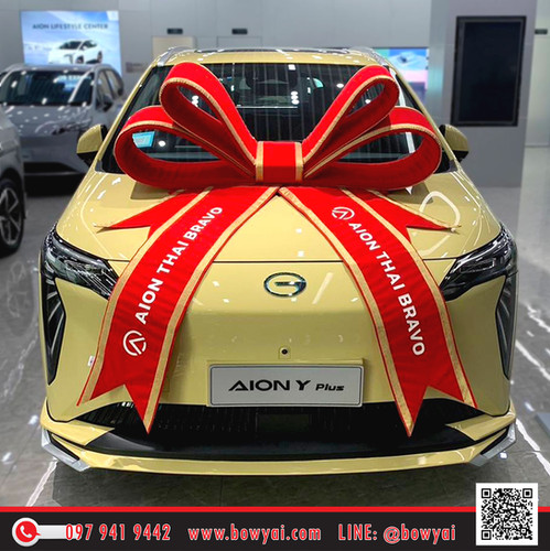 โบว์ติดรถยนต์ 4 หู + เดินขอบ | Bowyai โบว์ติดรถ