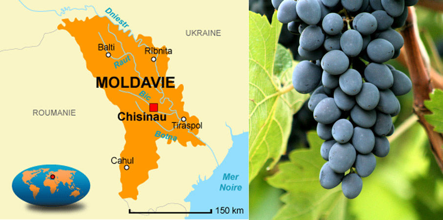 Moldova – The Grape Country