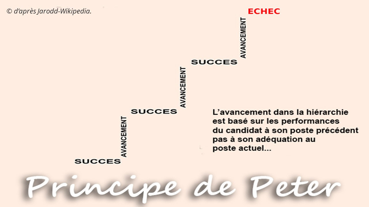 principe-peter-management