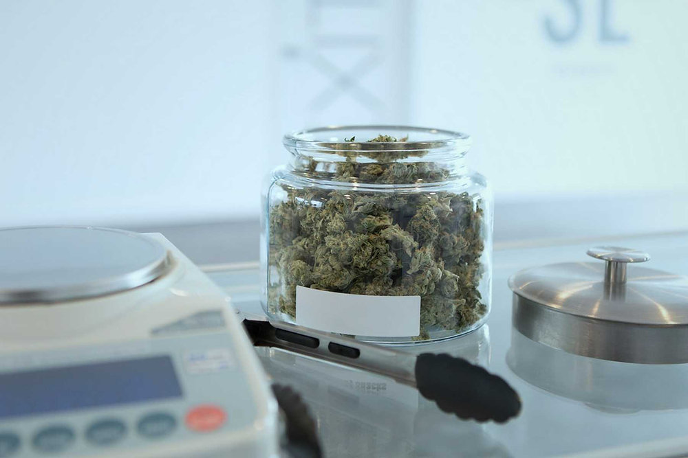 Marijuana Strain Review: The Ultimate Guide on Obama Runtz Marijuana Strain Review: The Ultimate Guide on Obama Runtz