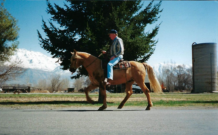 GAIT INFO | Marymel Morgans