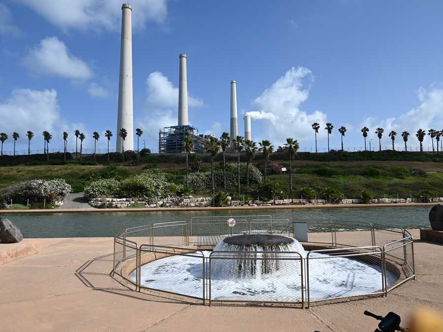 Hadera River Park: A Natural Haven of History, Wildlife, and Mystery