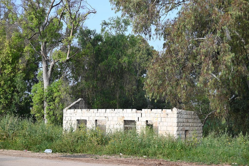 Unveiling the Rich History of Tel Afek: A Journey Through Millennia