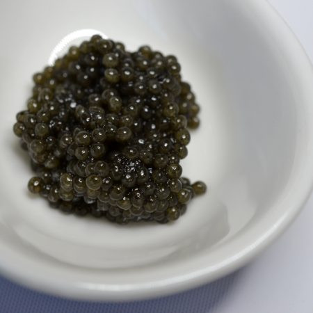 Russian Osetra | metroseafood-live