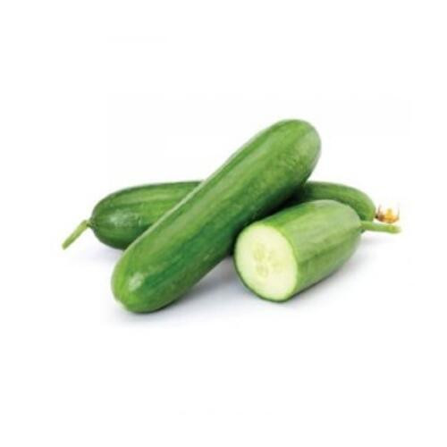 39-Veg French Cucumber | Ks