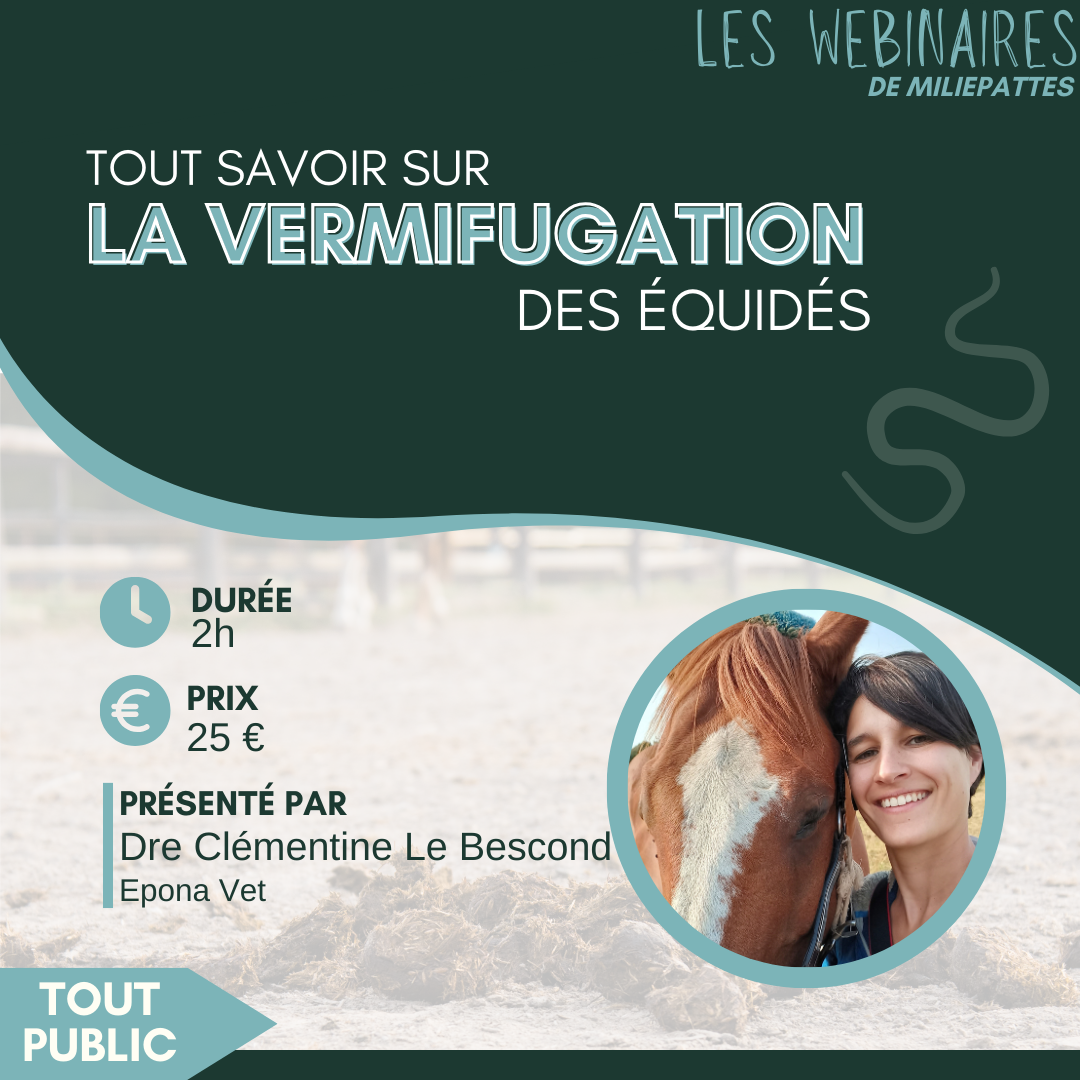 Tout savoir sur la vermifugation des équidés | Miliepattes