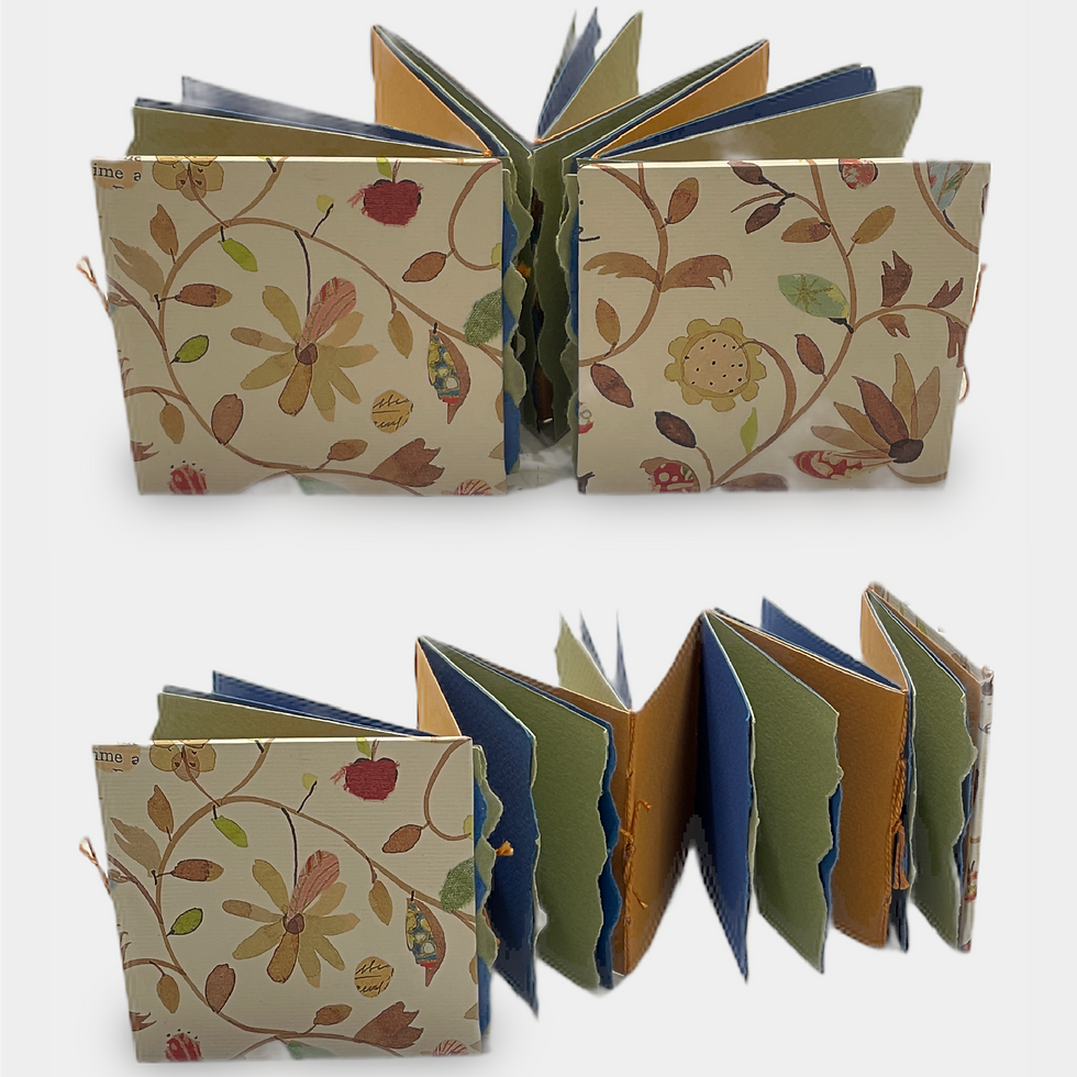 concertina books | dakini bookbinding