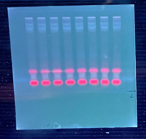 Workshop on HPTLC | Mysite